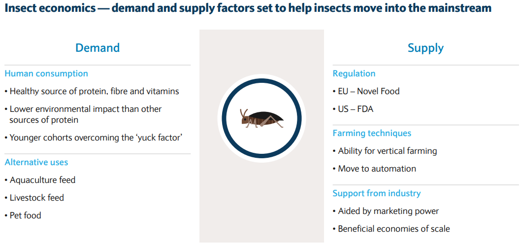 The business of black soldier flies | Afridigest